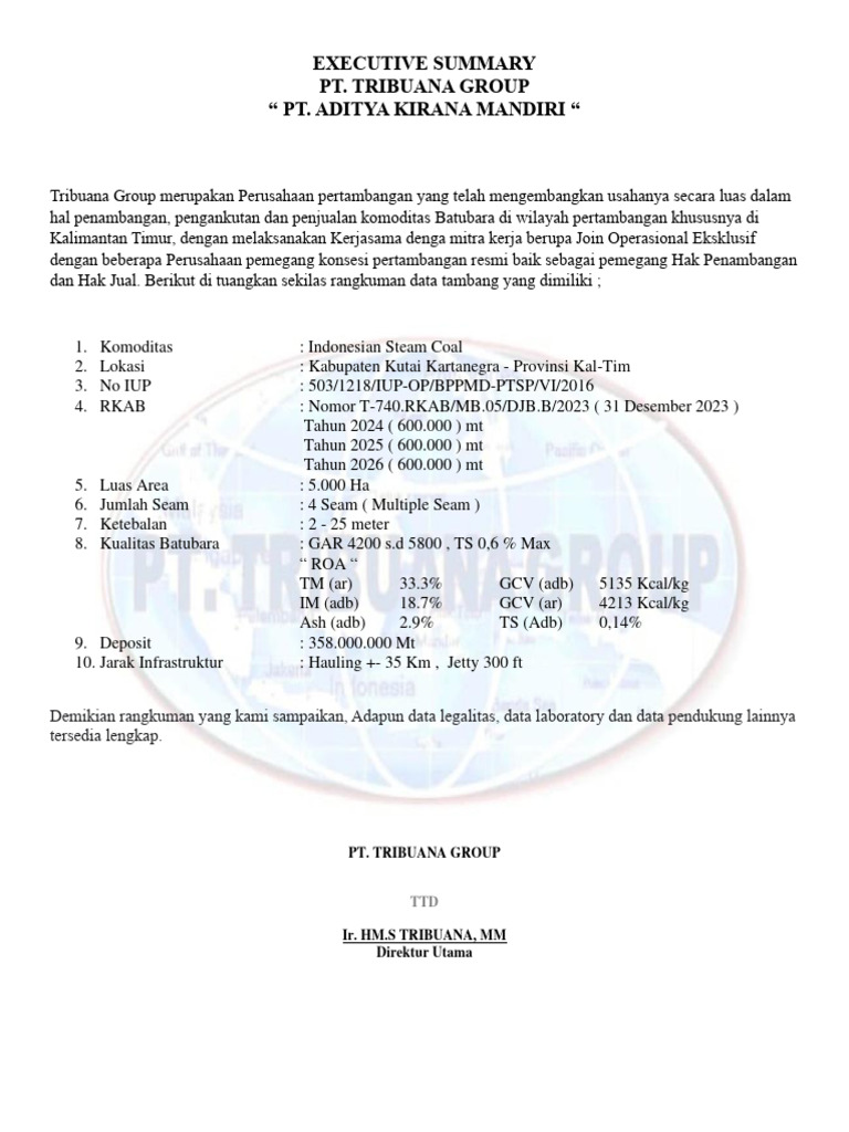 Executive Summary Tgr-Akm | PDF