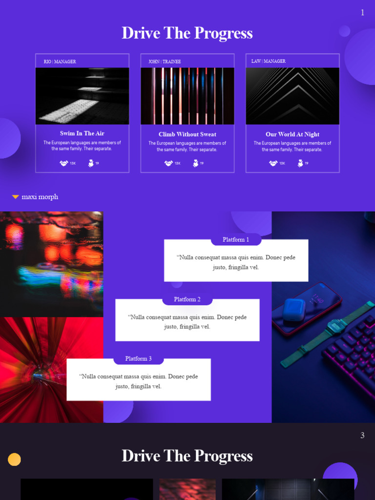 Maxi Morph - 3. Image Placeholder | PDF