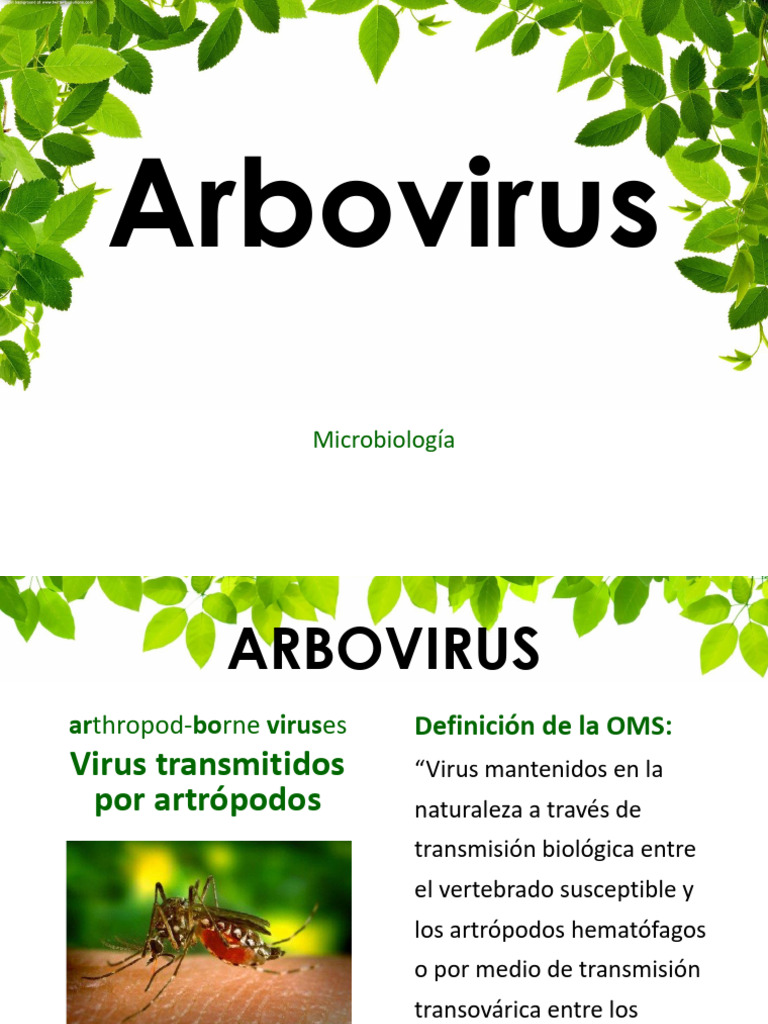 "Arbovirus: Ciclos, Enfermedades y Prevención" | PDF | Fiebre del zika ...