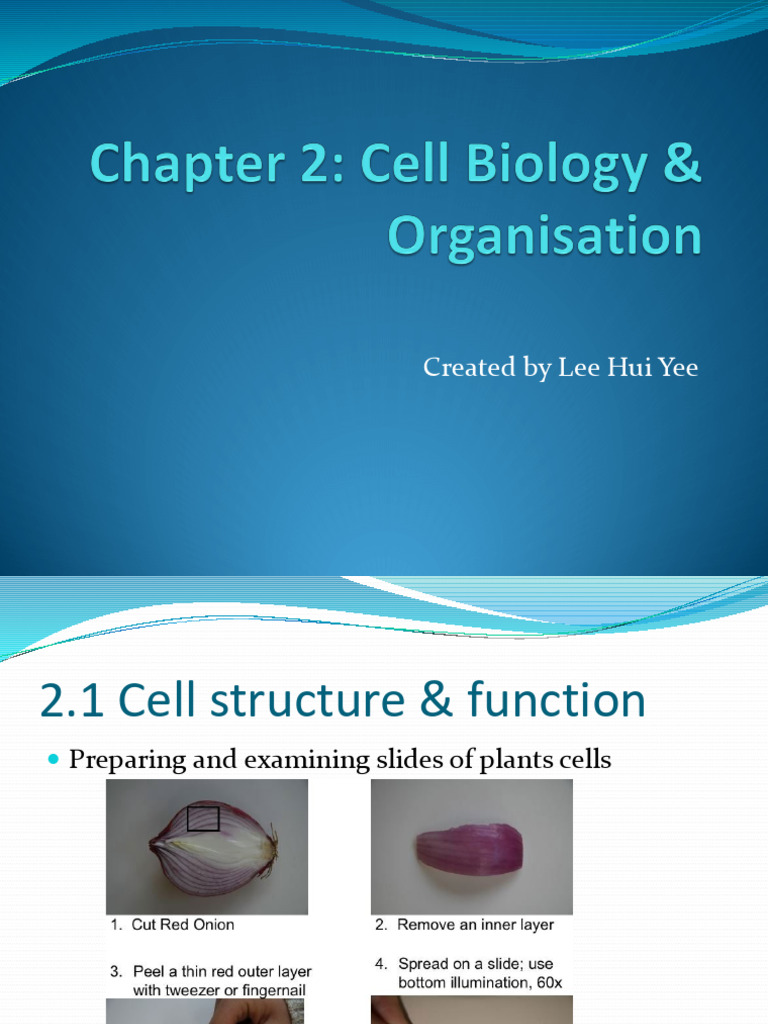 Chapter 2 Cell Structures & Functions | PDF | Tissue (Biology) | Cell (Biology)