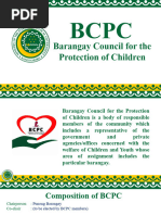 BCPC Financial Plan | PDF