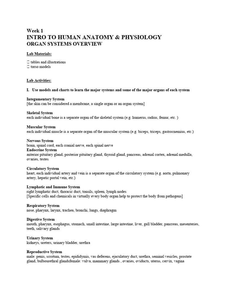 Lab Activity Organ Systems Overview | PDF