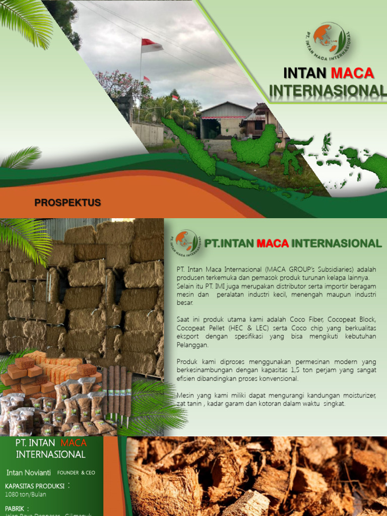 Proposal Coco Viber Sabut Kelapa | PDF