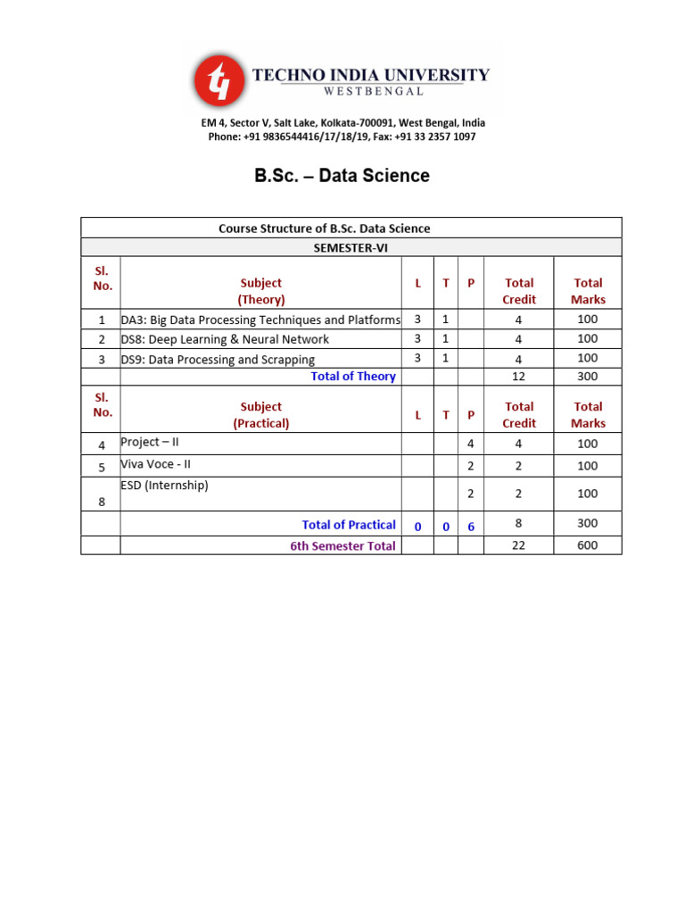 B.Sc. Data Science Semester VI Structure | PDF