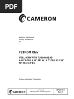 Cameron Wellhead Presentation | PDF | Casing (Borehole) | Valve