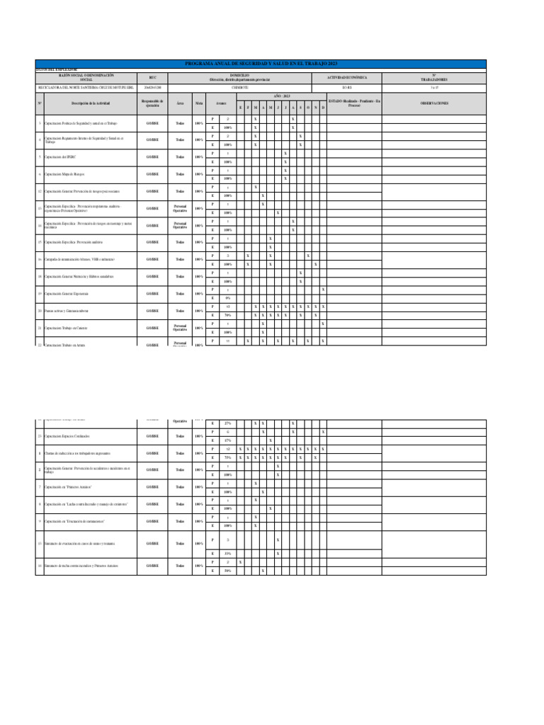 Programa Anual de SST - 2023 | PDF