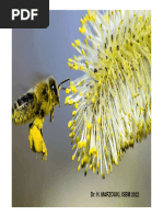 Le Carpelle : Organe des Angiospermes | PDF | Fruit | Embryon