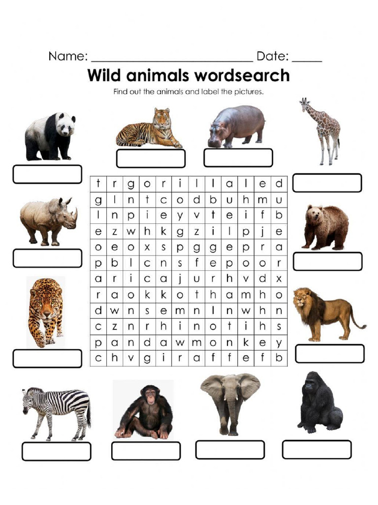 Wild Animal | PDF