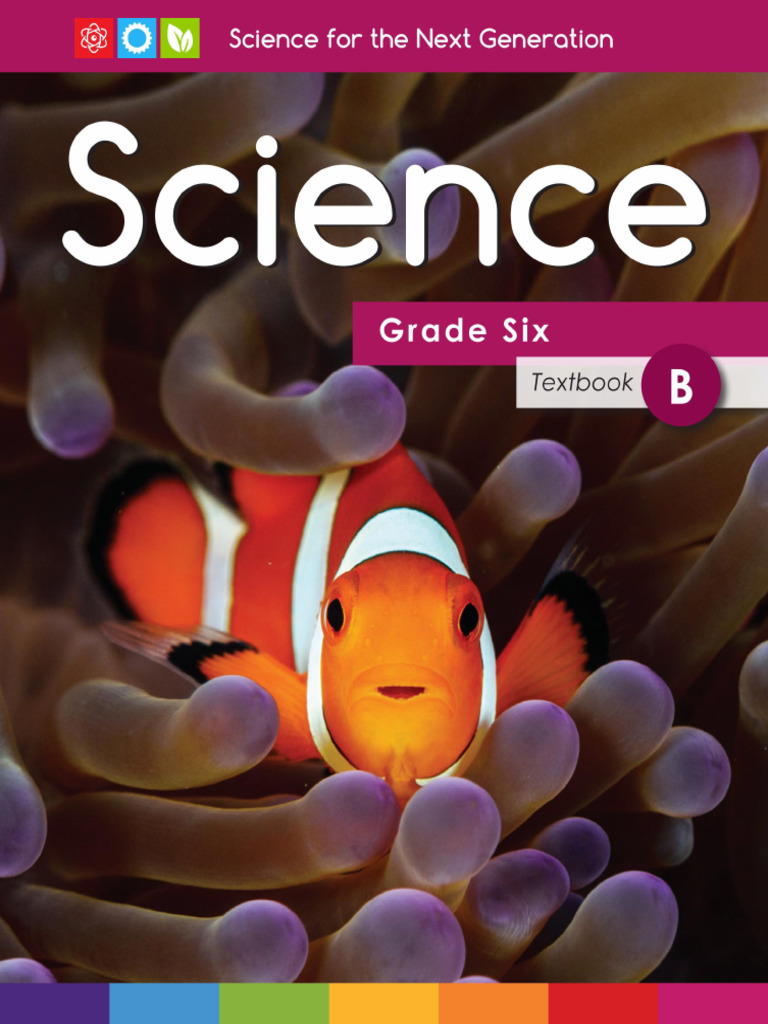 Next Generation Science Level 6 - Textbook B | PDF