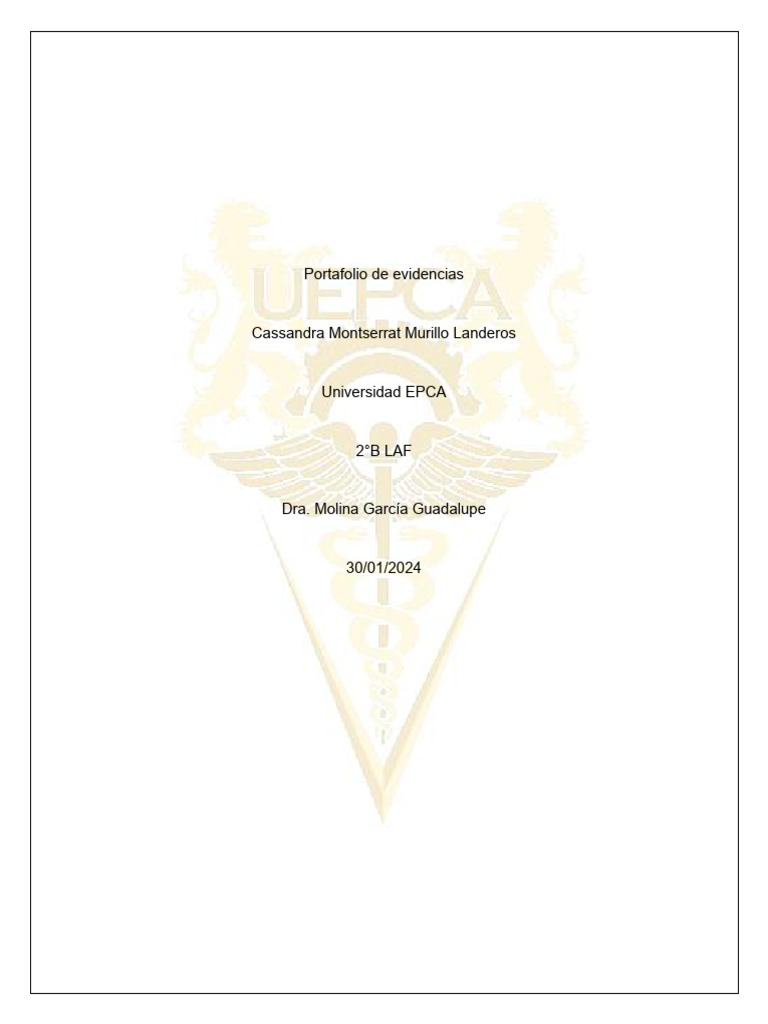 Portafolio de Evidencias | PDF | Liderazgo | Comportamiento organizacional