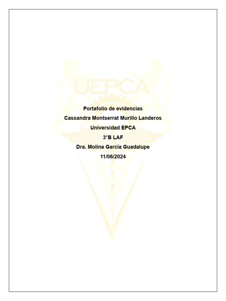 Portafolio de Evidencias2.Montse | PDF | Producto (Negocio) | Marca