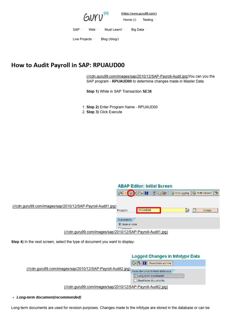 How To Audit Payroll in SAP - RPUAUD00 | PDF | Database Transaction ...