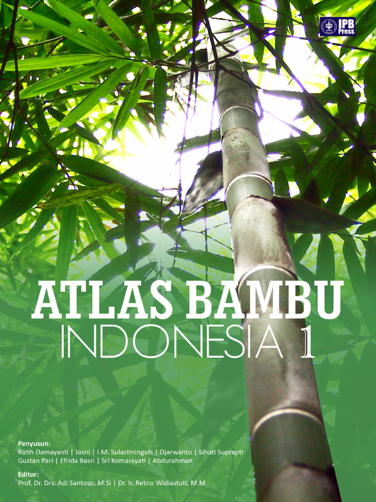 Atlas Bambu FX | PDF