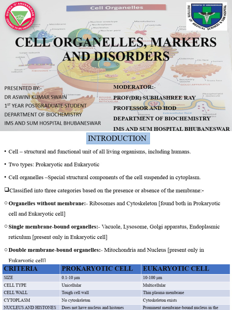 Cell Organelles J Markers and Its Disorders PPT Part 1 | PDF ...