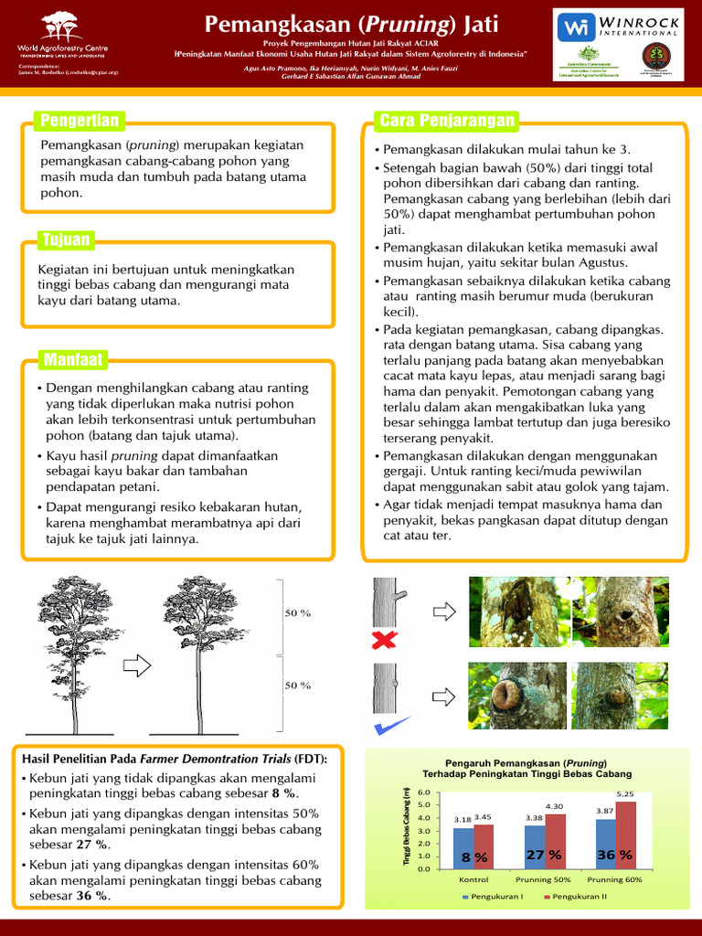 Pruning | PDF
