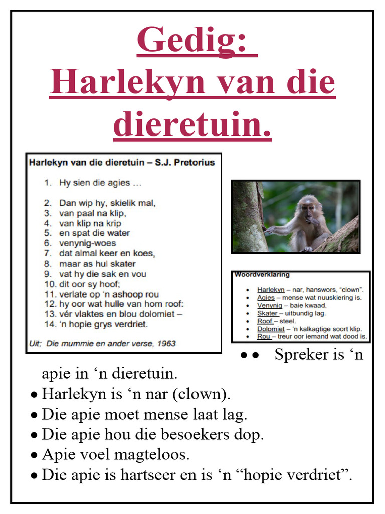 Gedig - Harlekyn | PDF
