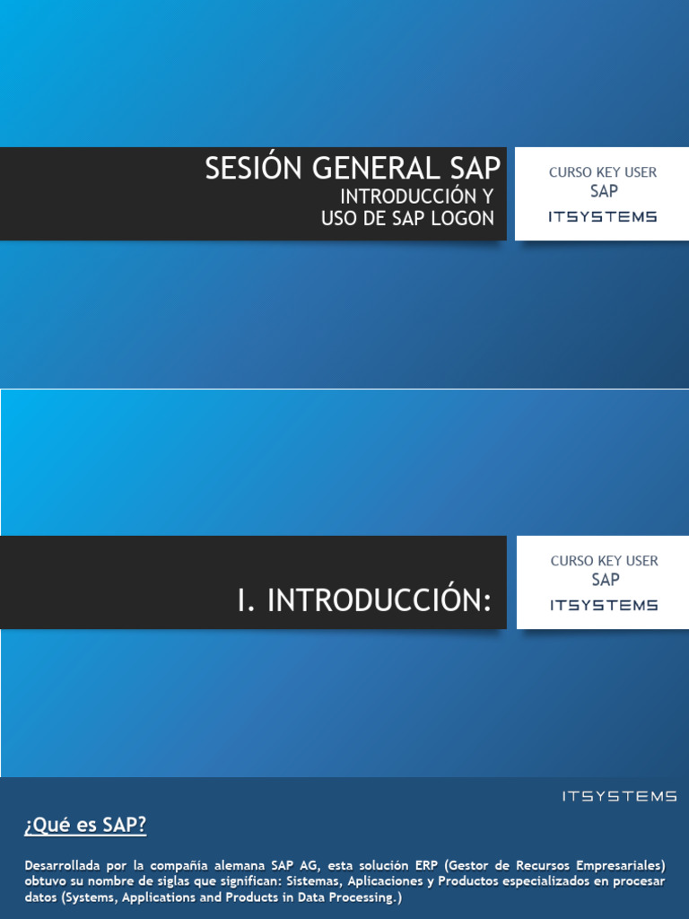 Introducción A SAP y Uso de Interfaz GUI - SAP ERP (R3 y S4HANA) | PDF | Informática | Software