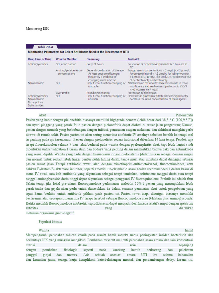 Monitoring ISK | PDF