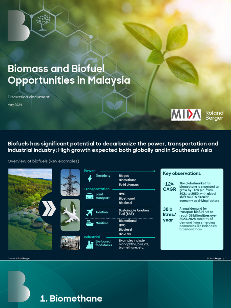 Biomass and Biofuel Opportunities in Malaysia | PDF | Biogas | Biofuel