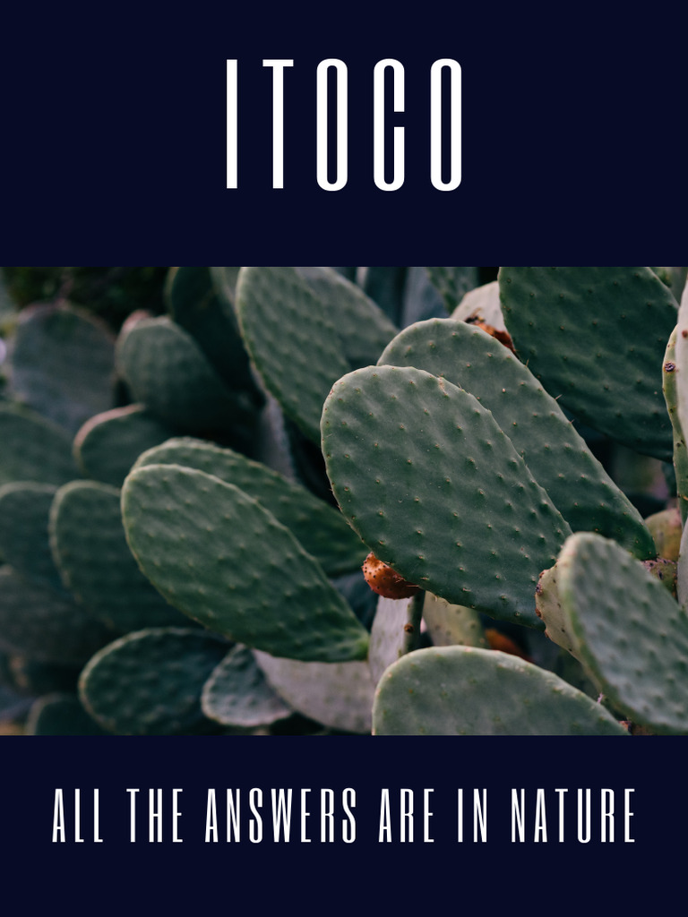 Itoco Nopal Cactus Land Rehabilitation Project | PDF | Climate Change ...