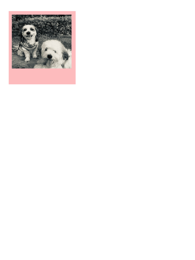Simple A4 Lined Paper | PDF