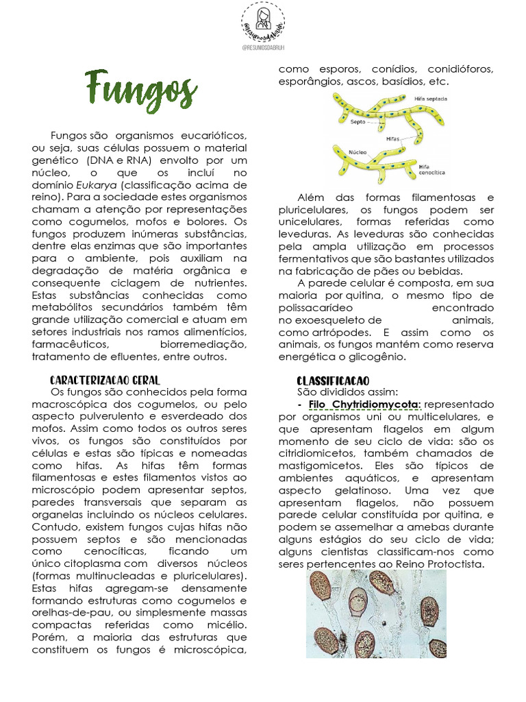 Características e Classificação dos Fungos | PDF | Sistema imunológico ...