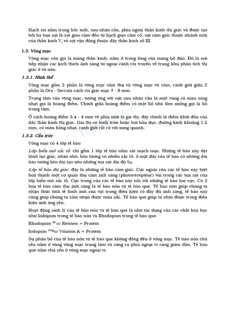 Bai 1 Dai Cuong Ve Giai Phau Va Sinh Ly Mat 6186-Trang-4 | PDF