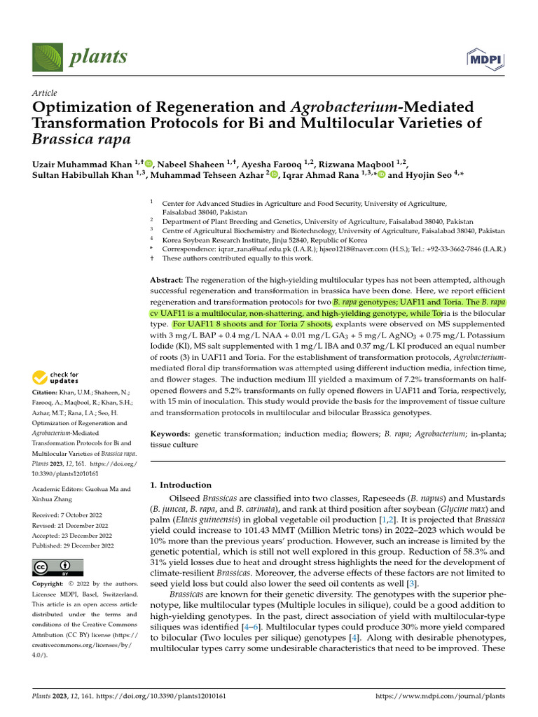 Brapa Toria | PDF | Plant Breeding | Genetically Modified Organism