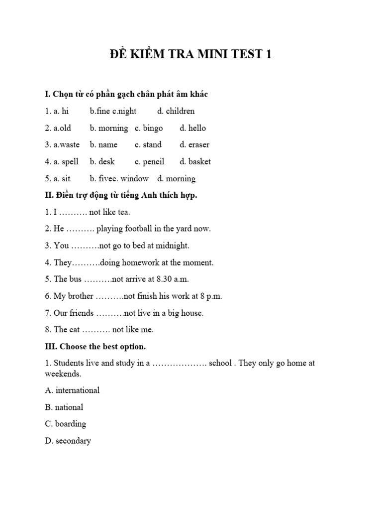 Mini Test 1: English Language Skills | PDF
