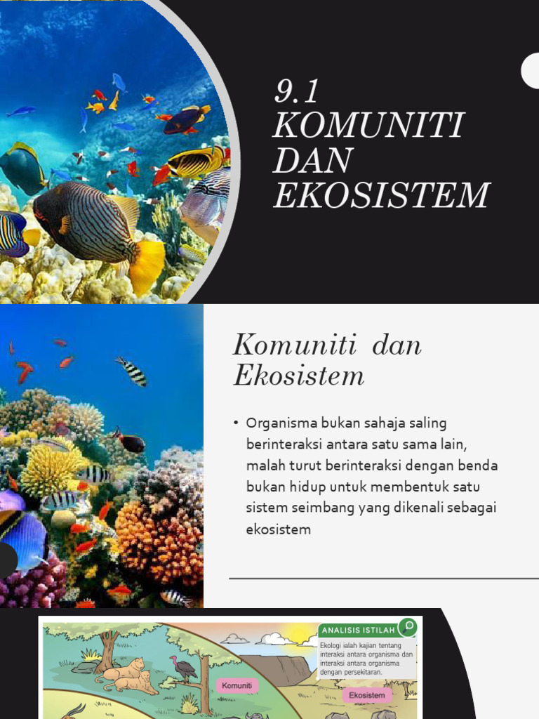 Bab 9 Ekosistem | PDF