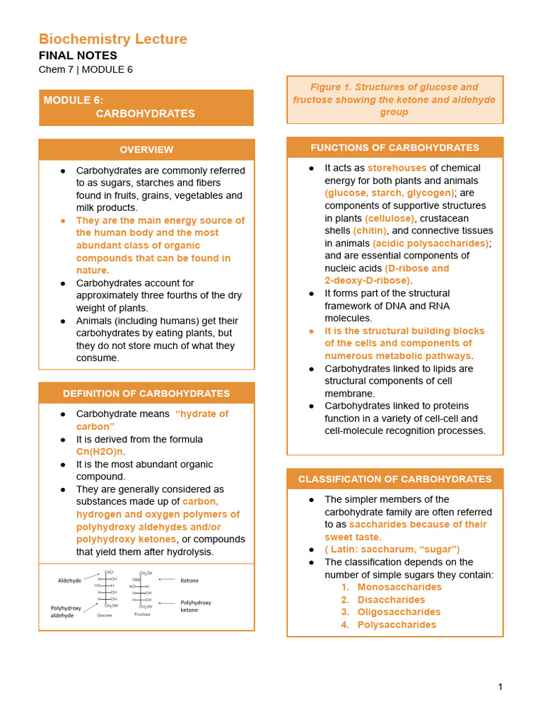 Biochemistry MODULE 6 - CARBOHYDRATES | PDF | Carbohydrates ...