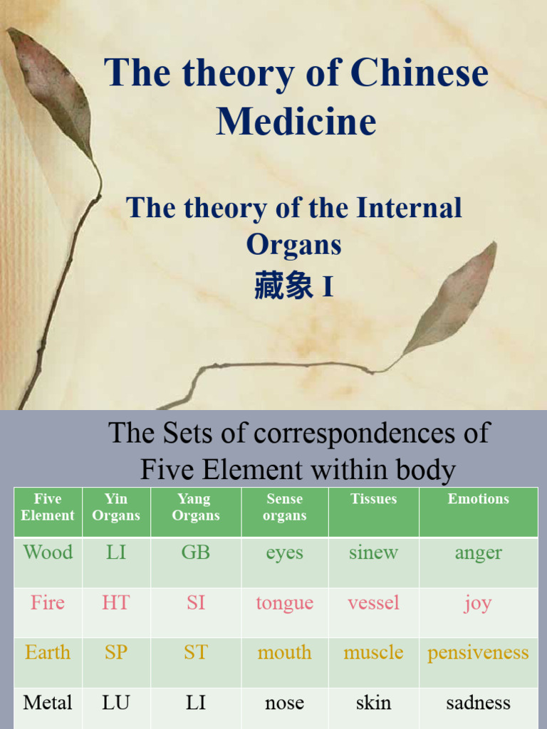 4.1 Internal Organs | PDF | Anatomy | Organ (Anatomy)