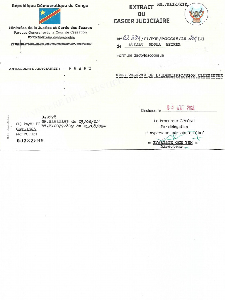 Extrait Du Casier Judiciaire - 021518 | PDF