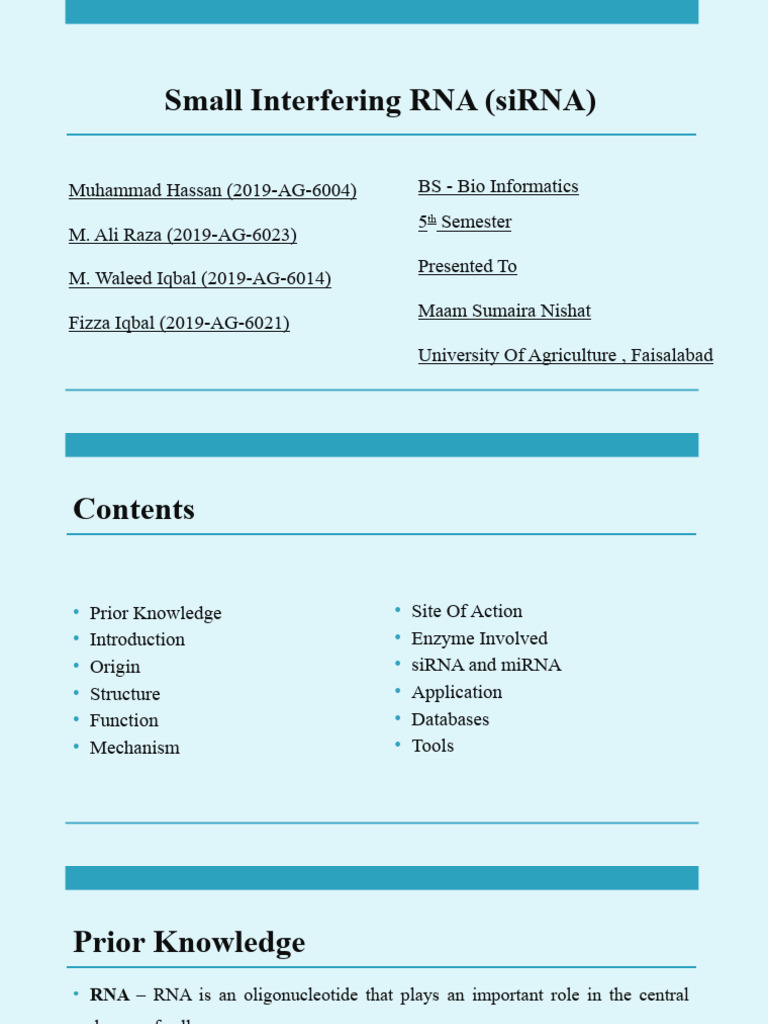 Overview of Small Interfering RNA (siRNA) | PDF | Small Interfering Rna | Rna