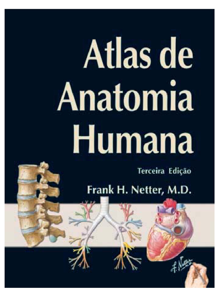 Atlas de Anatomia Humana - Frank H. Netter, M.D. | PDF
