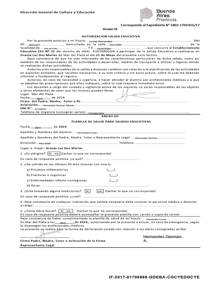 ANEXOS_VI y VII-1 | PDF