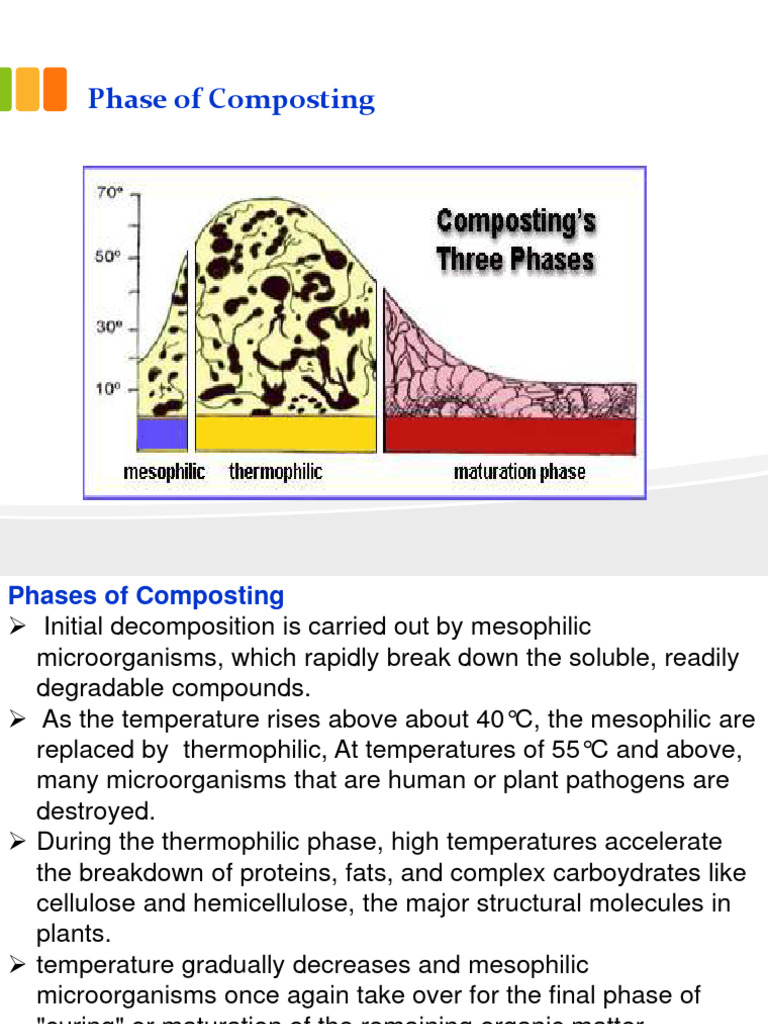 04_composting | PDF | Compost | Decomposition