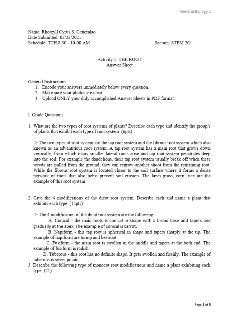 Rhotzyll Cyrus Generalao - Bio 2 Activity 1 Answer Sheet | PDF | Root | Plants