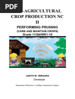 Apply Basal Fertilizer | PDF | Fertilizer | Soil