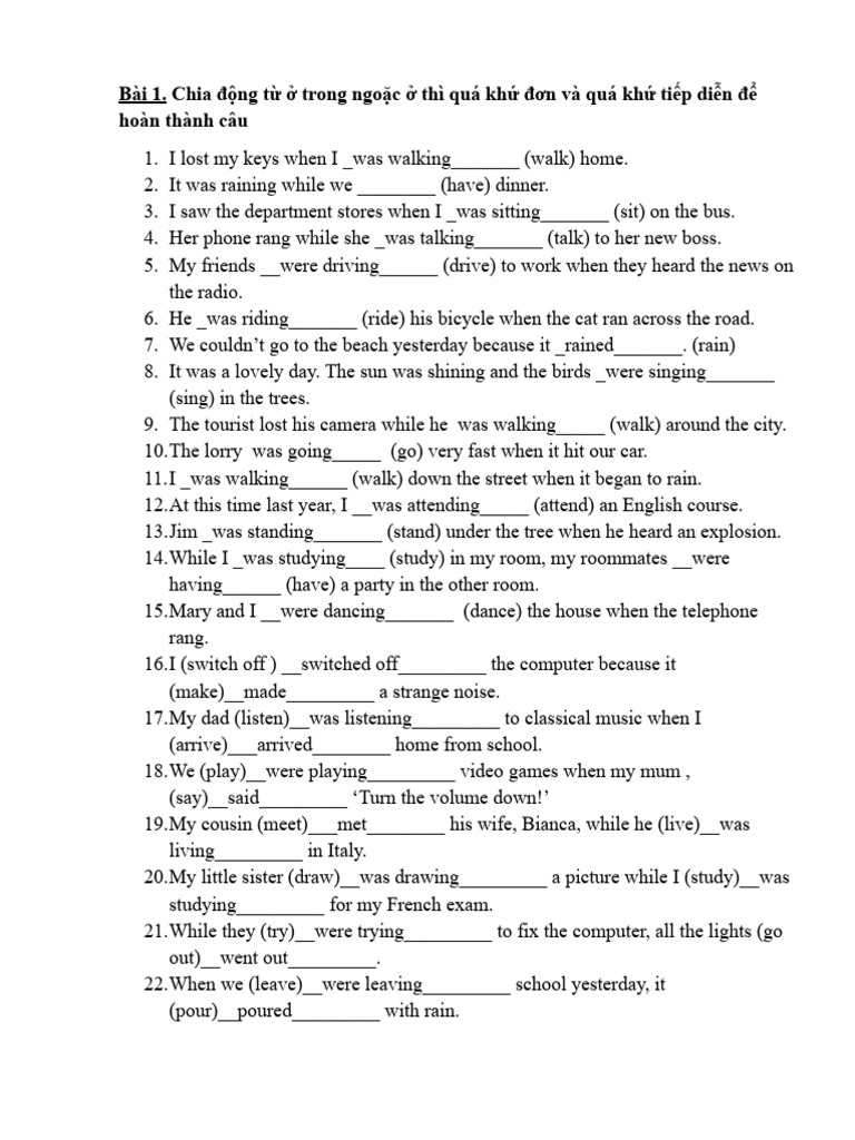 (Past Simple & Past Continuous) (Exercise) (04 - 07 - 2024) | PDF