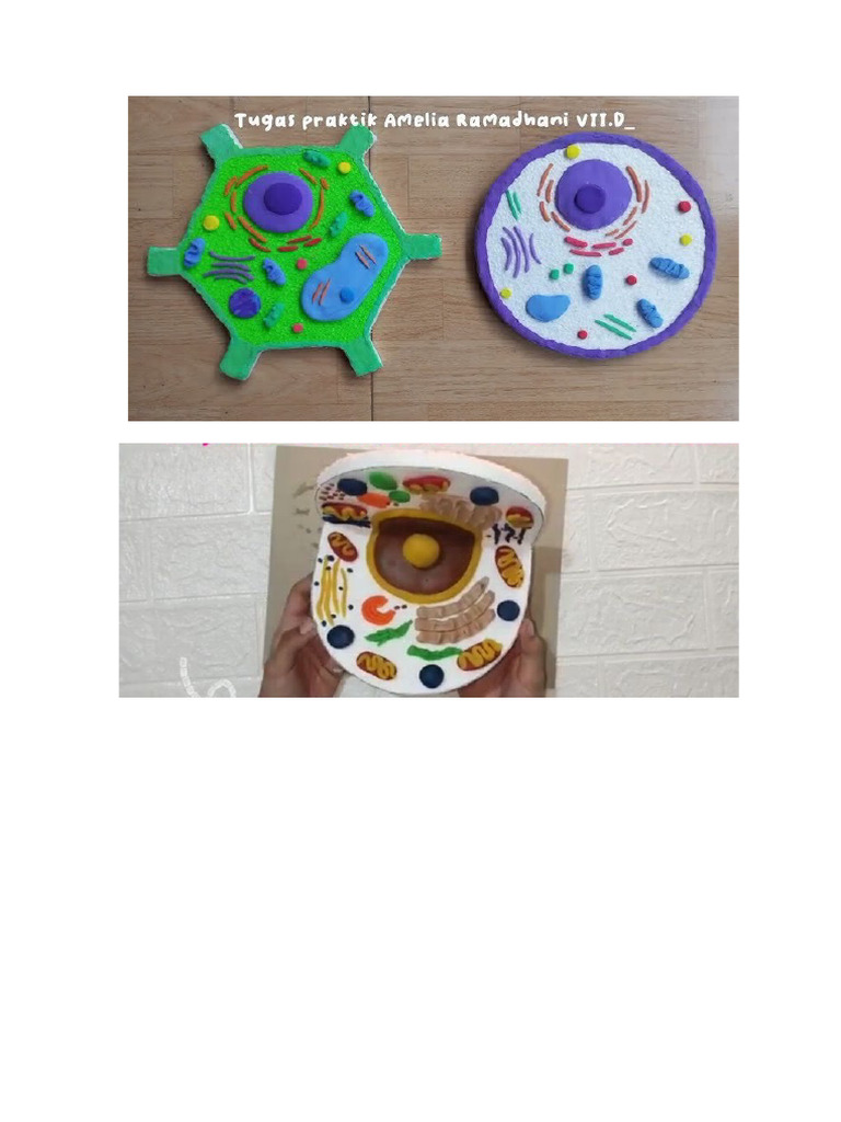 Contoh Replika Sel | PDF