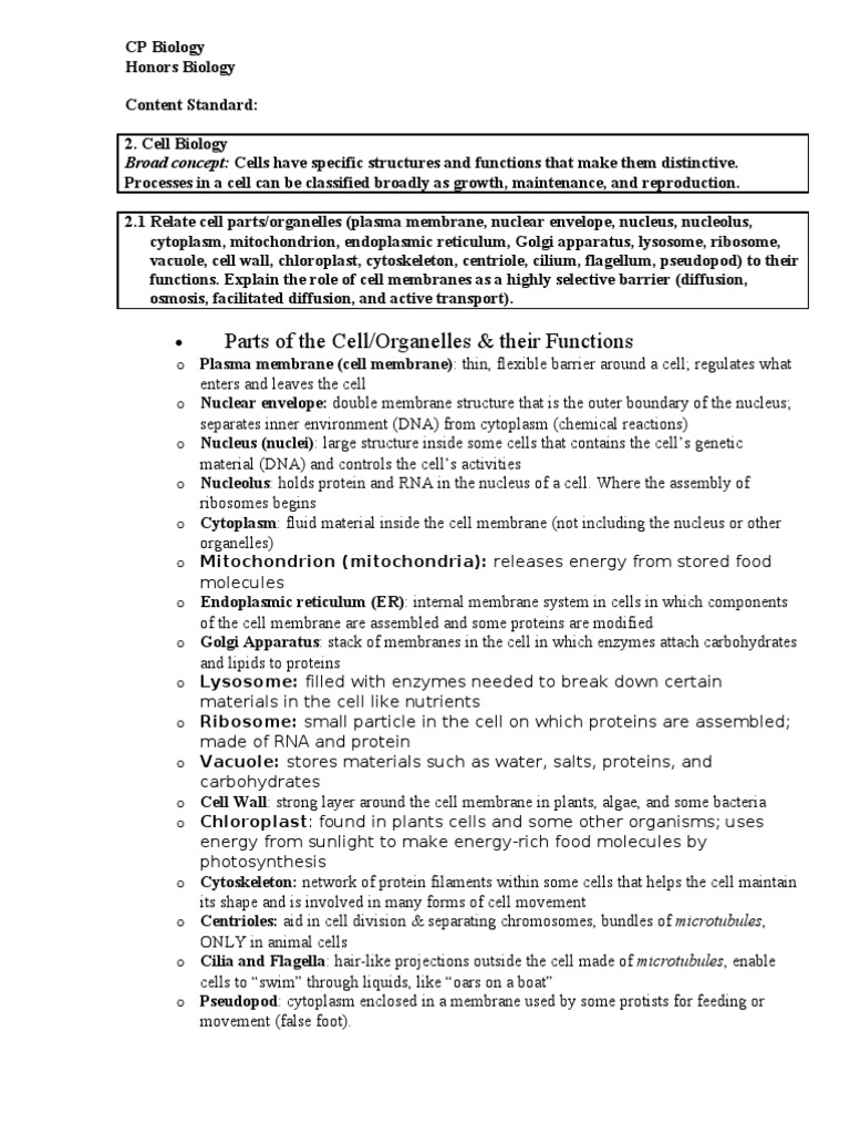 Biology MCAS Standards For Cell Material | PDF | Meiosis | Mitosis
