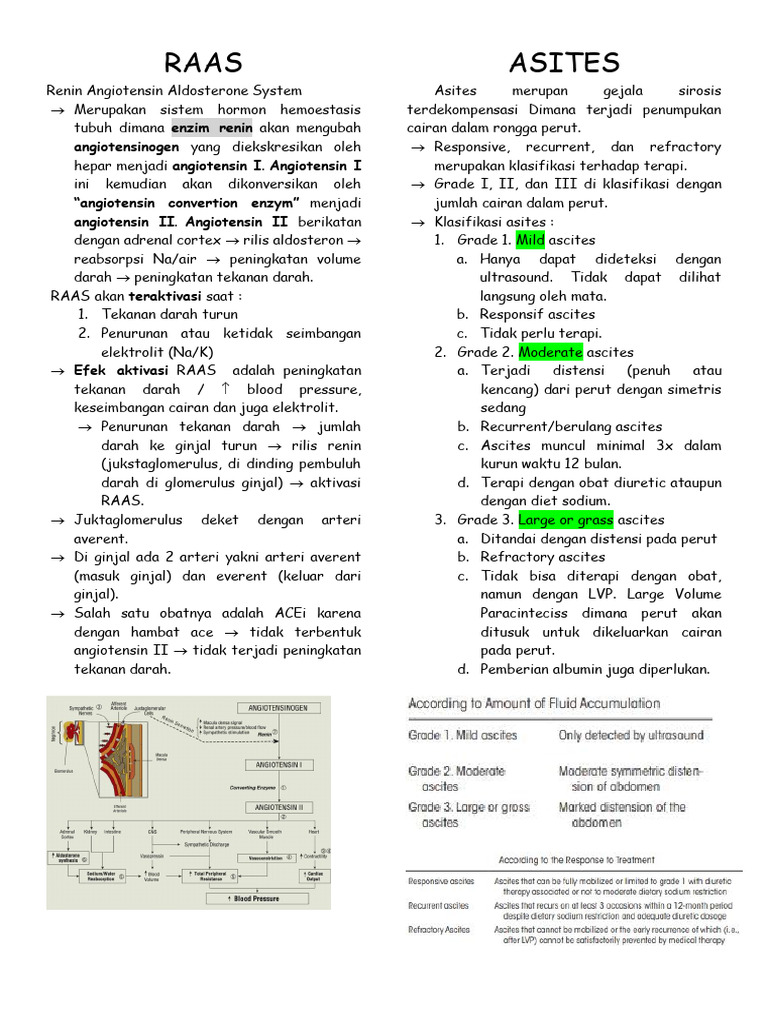 Sistem RAAS dan Asites | PDF
