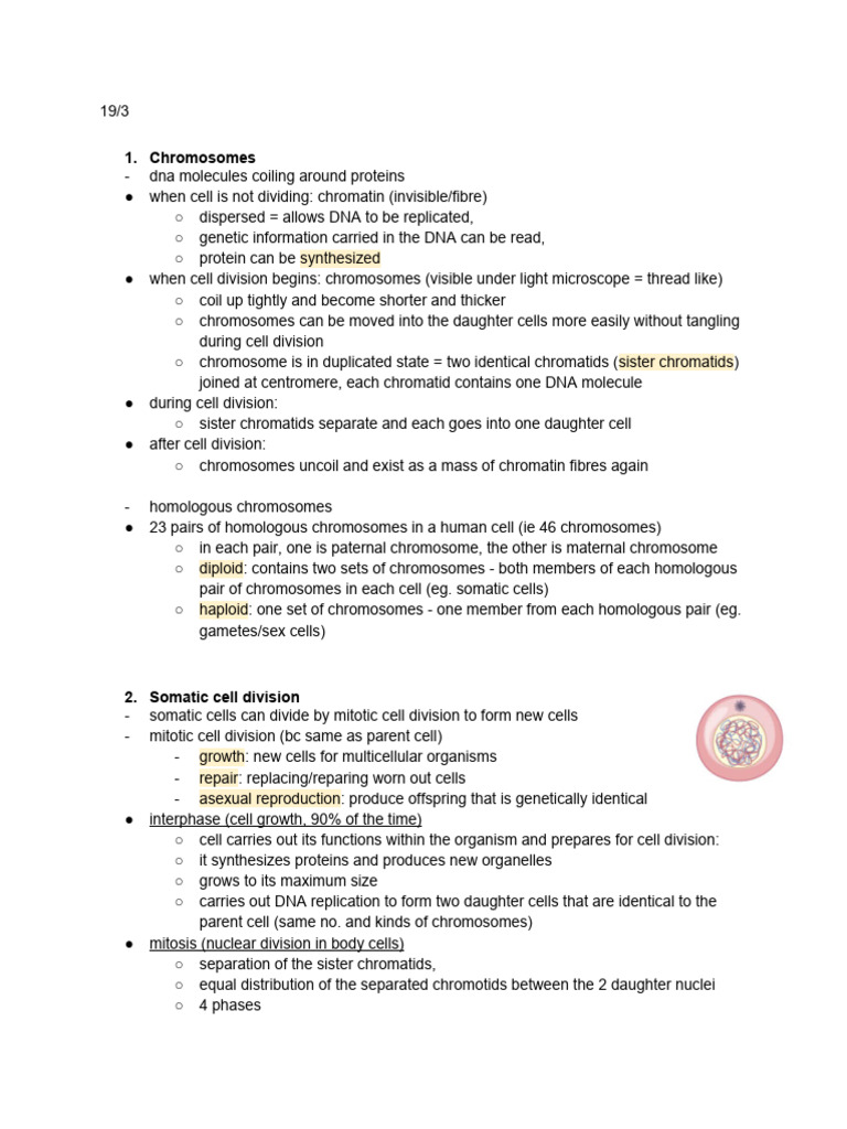 Test Notes - Cell Division | PDF | Meiosis | Chromosome
