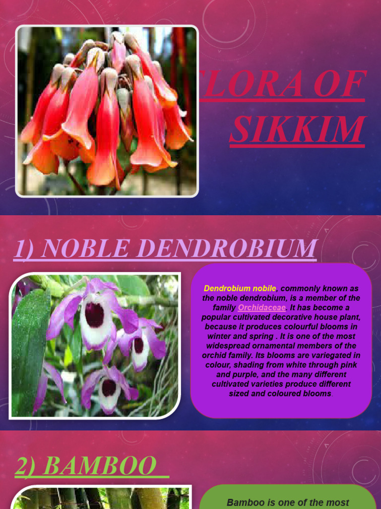 FLORA OF SIKKIM | PDF