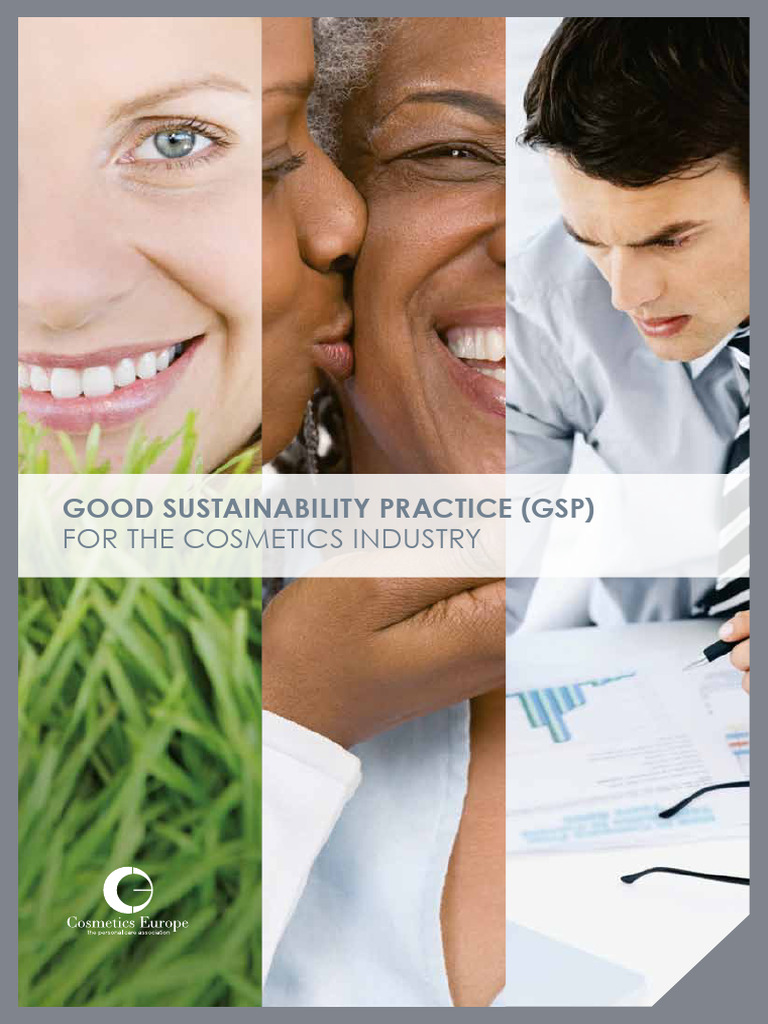 GSP Brochure | PDF | Life Cycle Assessment | Sustainability