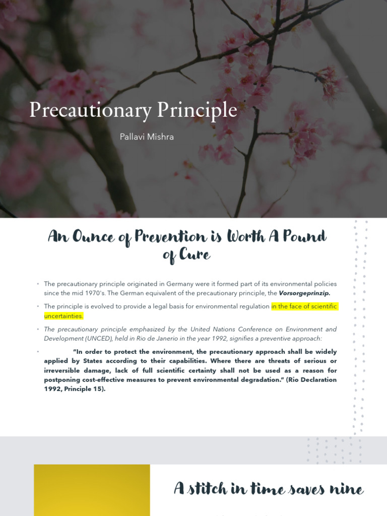 Precautionary Principle | PDF | Natural Environment