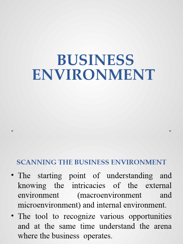 Business Environment | PDF | Business Economics | Private Sector