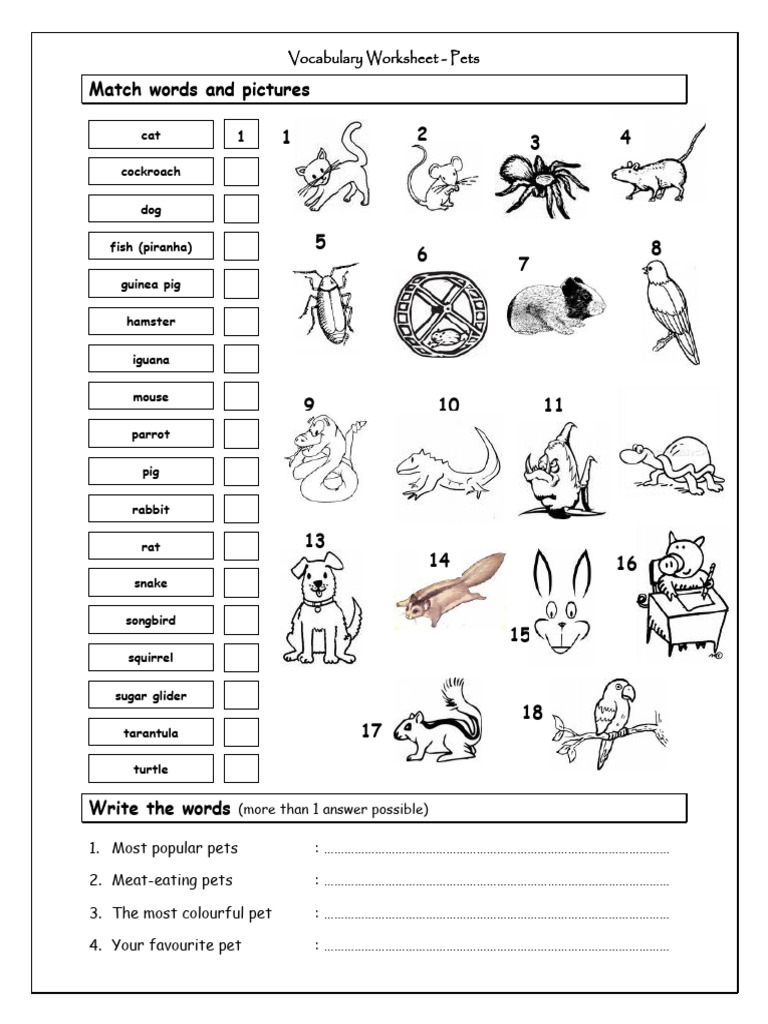 Vocabulary Worksheet Pets8889 | PDF