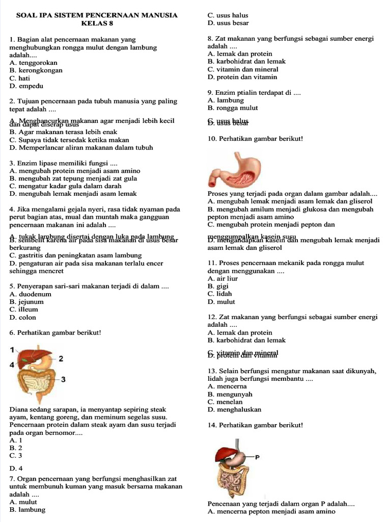 Soal Sistem Pencernaan Kelas 8 | PDF